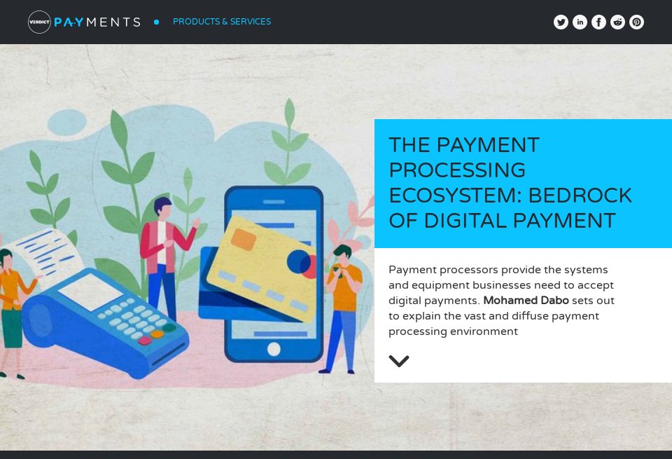 The payment processing ecosystem: bedrock of digital payment - Verdict ...
